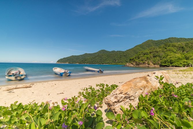 Tayrona Park Private Hike Tour to Cabo San Juan - Hiking to Cabo San Juan