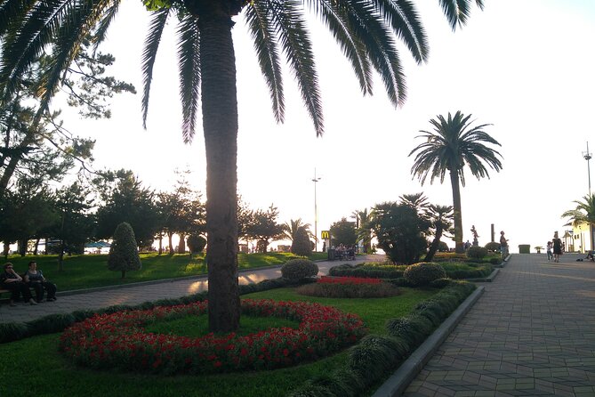 Tbilisi - Batumi Private Transfer - Why This Transfer Offers Good Value