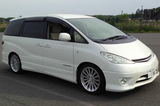 Tbilisi Private Arrival Airport Transfer - Pickup and Meeting Information