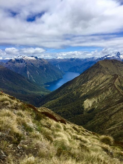 Te Anau: 30-Minute Fiordland National Park Scenic Flight - Who Is This Tour Best For?