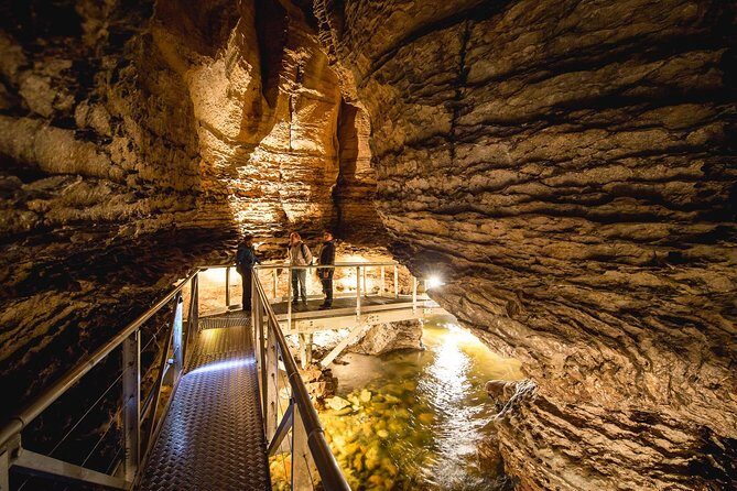 Te Anau Glow Worm Caves Tour - An Overview of the Tour Experience