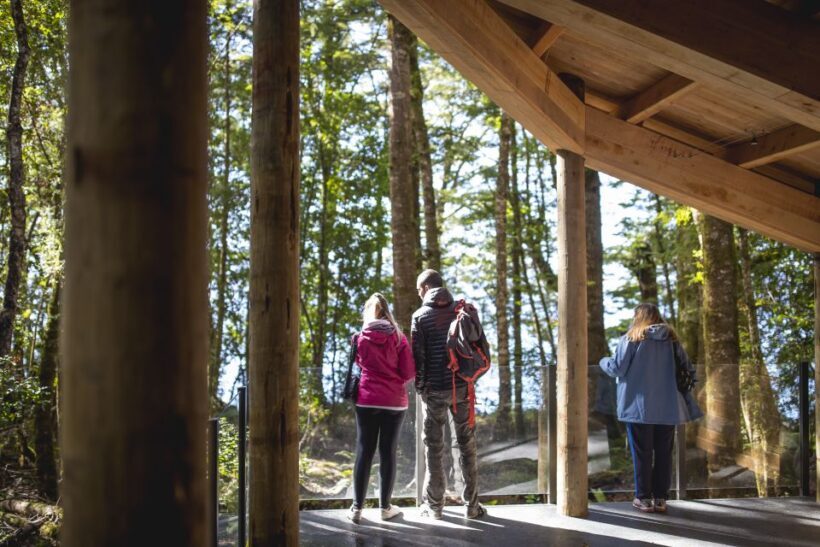 Te Anau: Glowworm Caves Guided Tour - What Travelers Are Saying