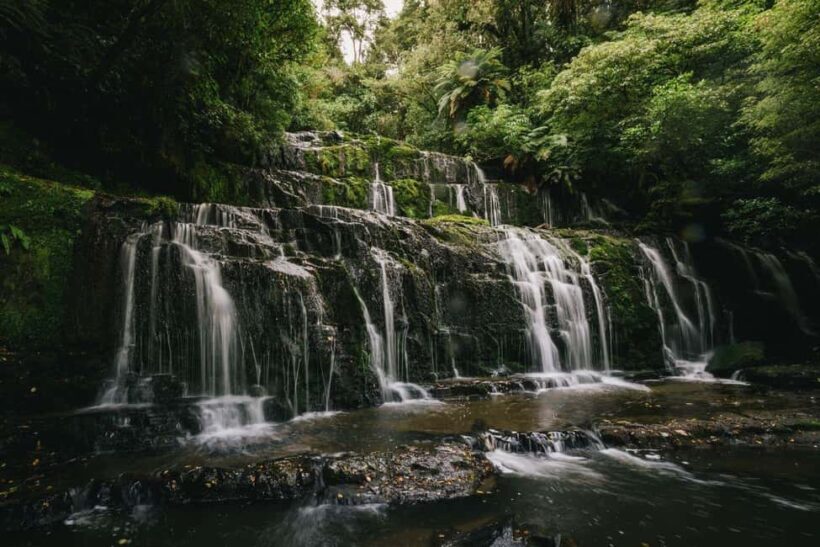 Te Anau to Dunedin via the Catlins & Invercargill 1 Way Tour - An Introduction to the Tour Experience