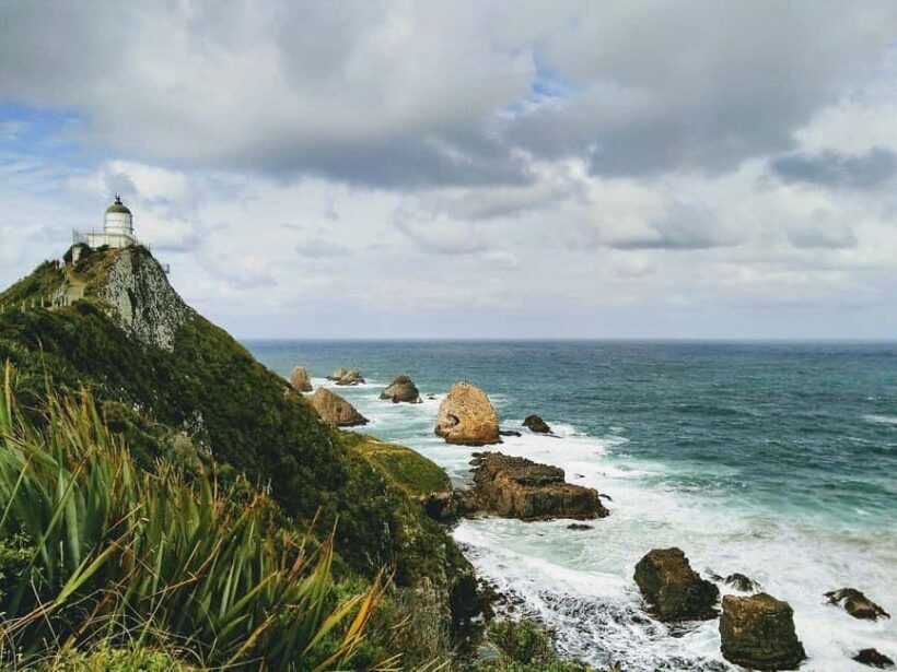 Te Anau to Dunedin via the Catlins & Invercargill 1 Way Tour - Frequently Asked Questions