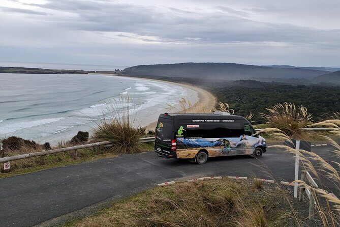 Te Anau to Dunedin Via The Catlins Small-Group Tour (One-Way) - Who This Tour Is Best For