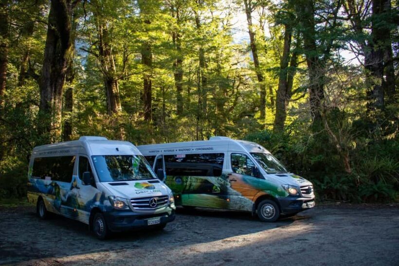 Te Anau to Queenstown inc Milford Sound Tour, Cruise & Lunch - Key Points