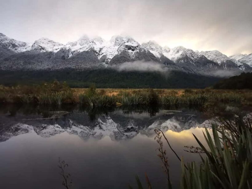 Te Anau to Queenstown inc Milford Sound Tour, Cruise & Lunch - The Journey Begins: From Te Anau to Milford Sound