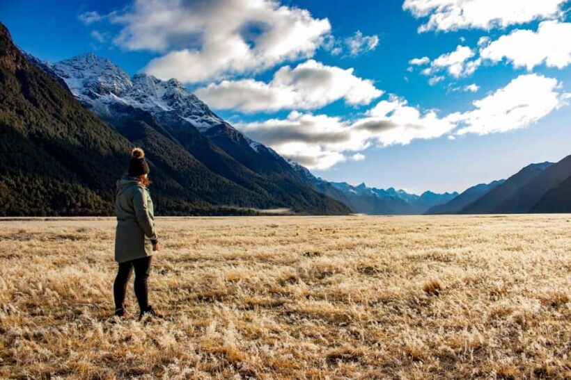 Te Anau to Queenstown inc Milford Sound Tour, Cruise & Lunch - In-Depth Analysis: What Makes This Tour Stand Out