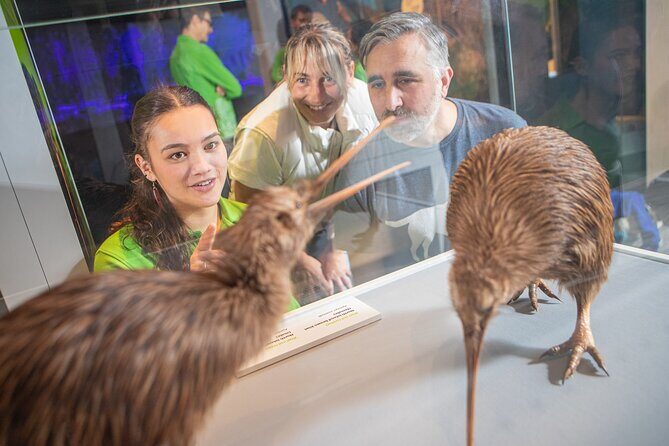 Te Papa Museum Entry International Visitors - A Closer Look at the Te Papa Experience
