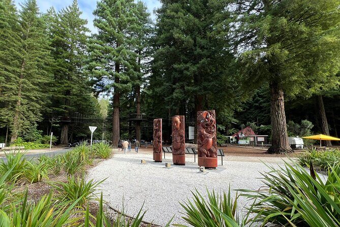 Te Puia And Redwood Park Day Trip Transport From Auckland - Practical Tips for Travelers