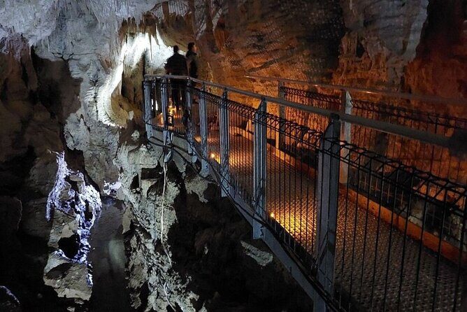 TE PUIA Geothermal, Polynesian Spa & Blue Springs Day Tour Ex AKL - Who Should Consider This Tour?