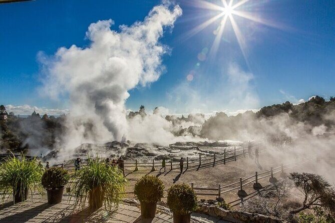 Te Puia Geothermal Valley - Rotorua - The Experience in Detail