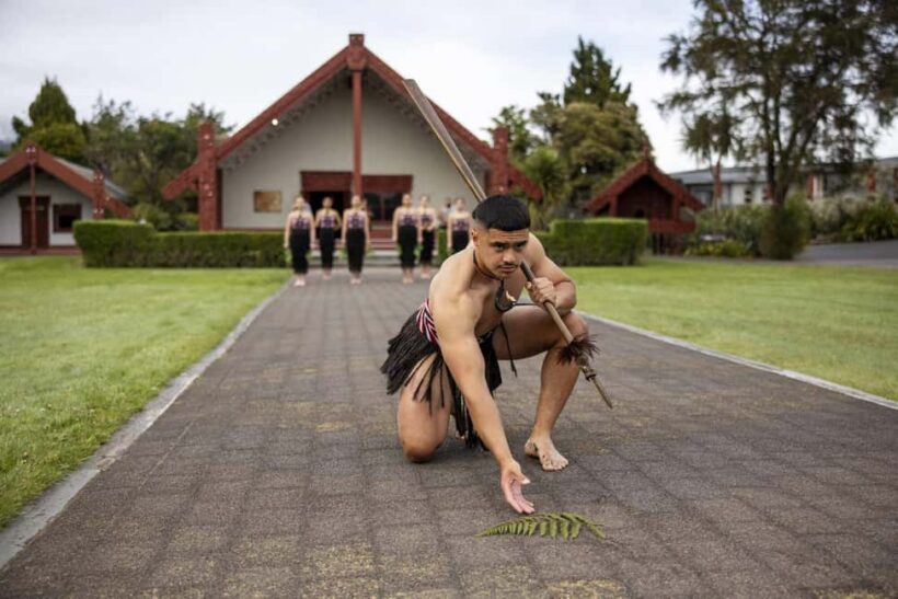 Te Puia: Te P Combo: Te R, Dinner, and Haka Performance - After the Show: A Gentle Walk Back into Nature