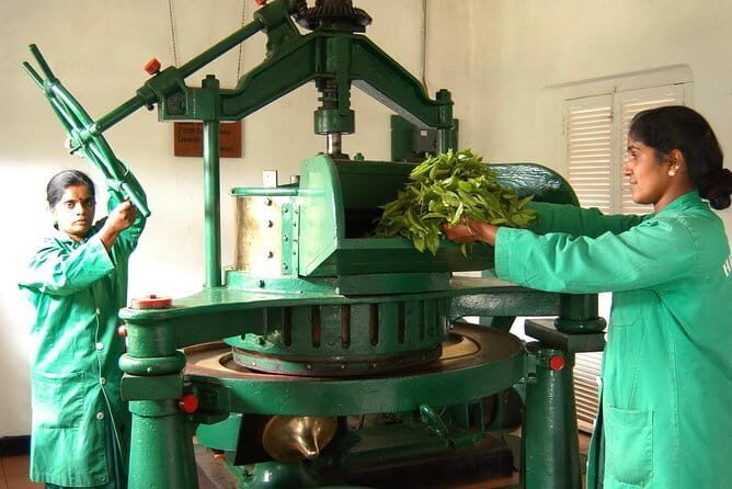 Tea Factory Tour at Galle (Pitigala) - Final Thoughts