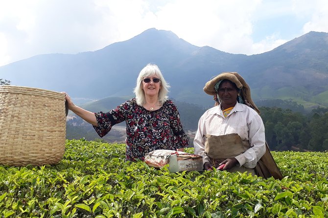 Tea Farm Tourism - Practical Considerations