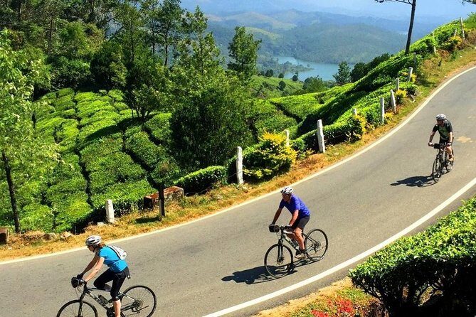 Tea Fields by Bicycle from Kandy - FAQ