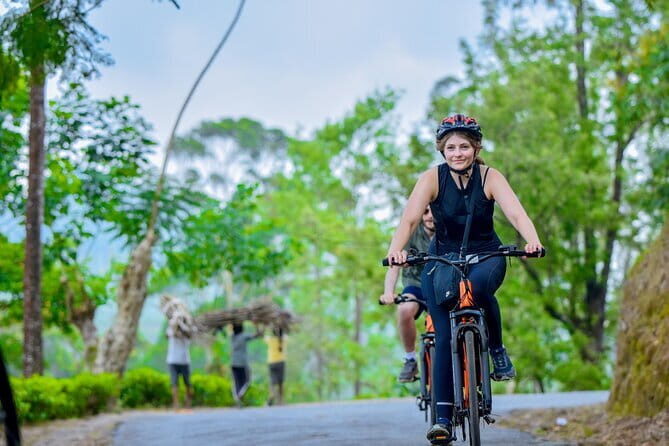 Tea Loops E-Biking - What Makes This Tour Special?