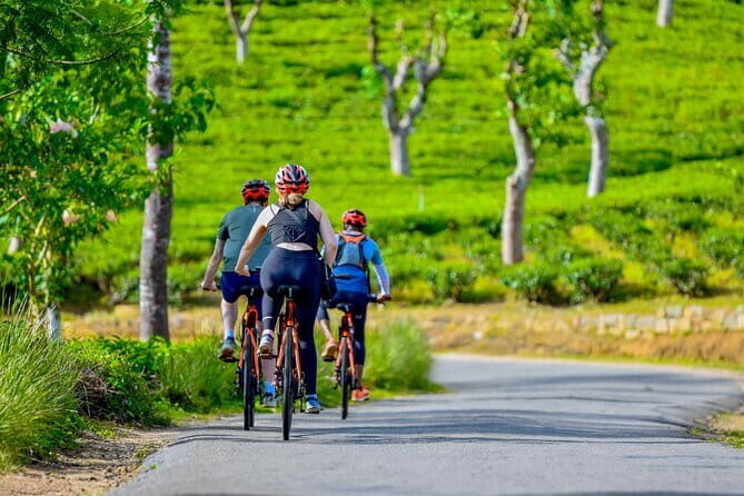 Tea Loops E-Biking - Authentic Experiences and Authentic Views