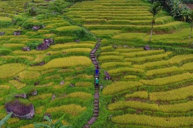 Tea Loops E-Biking - Value and Practicalities