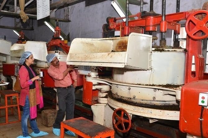 Tea planation walking In Munnar- (by Munnar Info) - FAQs