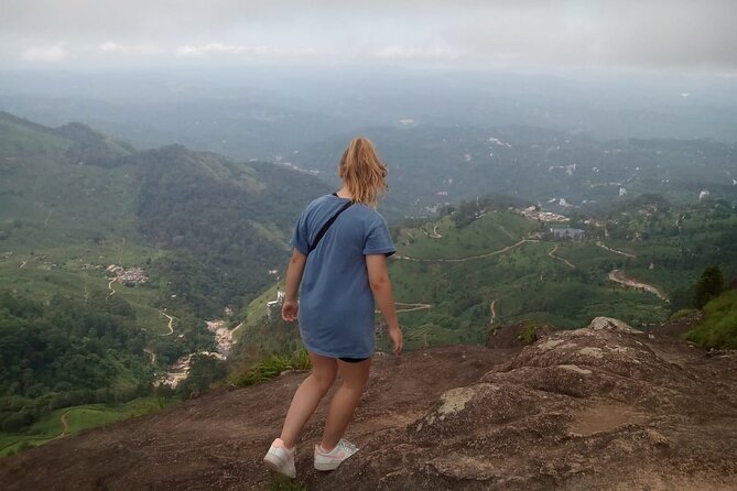 Tea Plantation, Grass Land and Mountain Hiking in Munnar - Why It’s a Good Deal