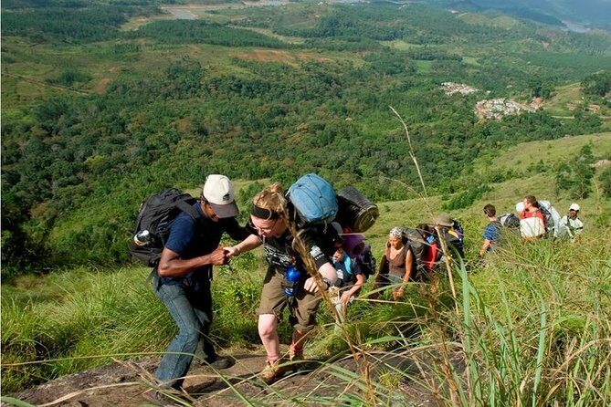 Tea plantation walk and stay in valley view Room (By Munnar Info) - An In-Depth Look at the Tour Experience