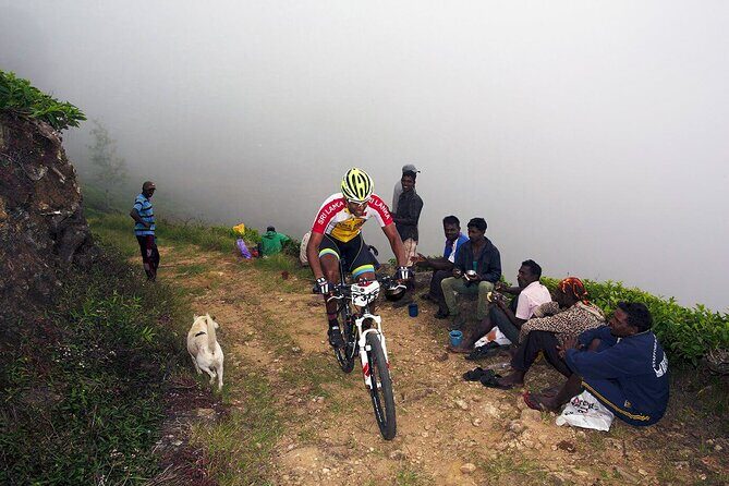 Tea Trails by Bicycle from Nuwara Eliya - The Sum Up