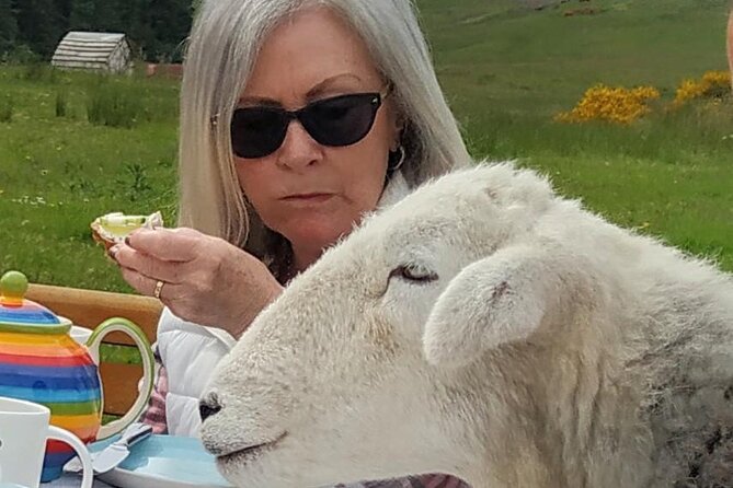 Tea With Naughty Sheep - Frequently Asked Questions