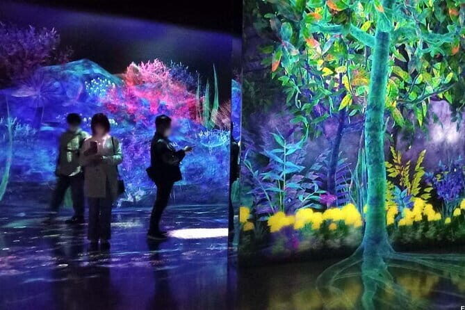 teamLab Forest Fukuoka an Immersive Art Experience Ticket - A Practical Review of teamLab Forest Fukuoka: Digital Art Meets Nature