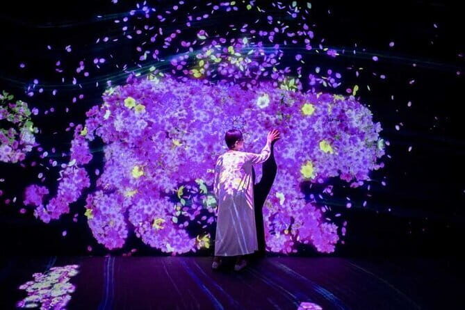 teamLab Forest Fukuoka an Immersive Art Experience Ticket - FAQ: Your Questions Answered