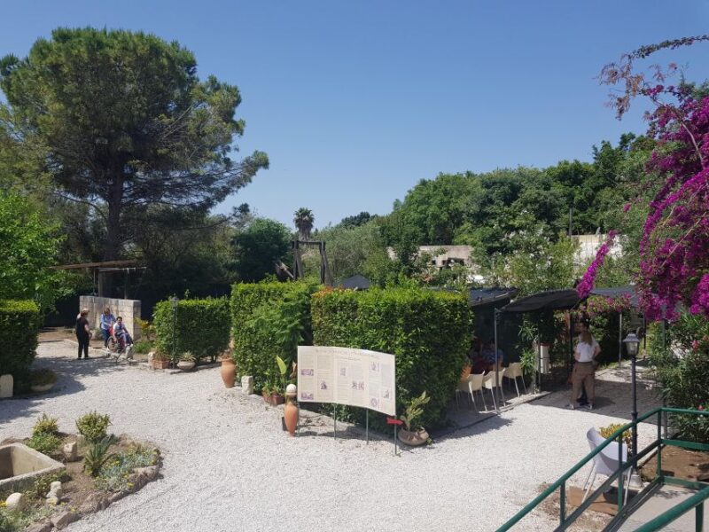 Tecnoparco Archimede Museum Exhibition Ticket - Key Points