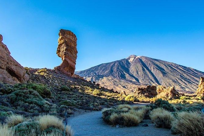 Teide-Icod-Garachico-Masca (Most Popular Bus Tour in Tenerife) - Tour Details