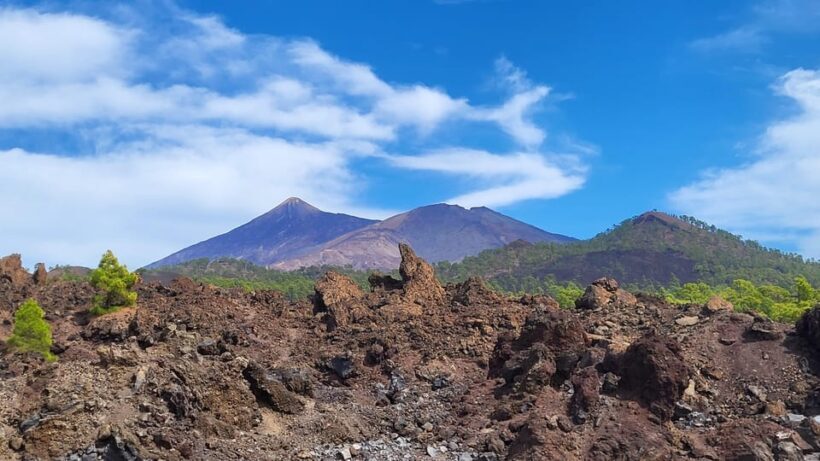 Teide National Park and Vilaflor ; local wine tasting - FAQ