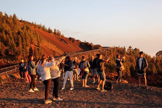 Teide National Park Exclusive and Private Tour - Educational Insights From the Guide
