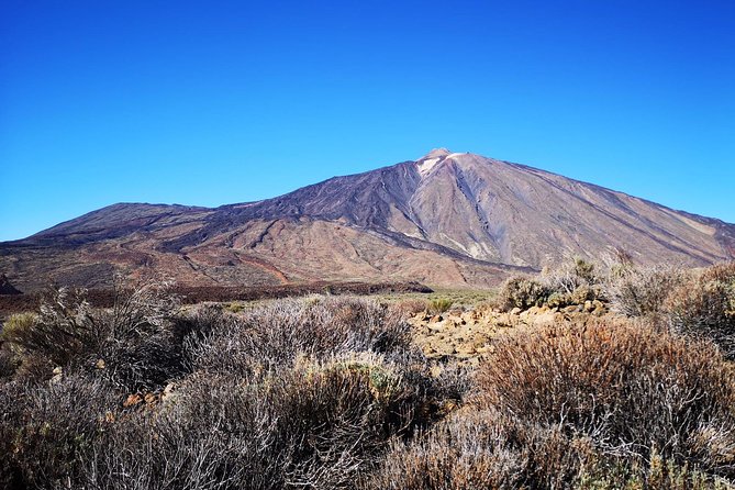 Teide National Park for Smaller Groups - Pricing and Booking Information