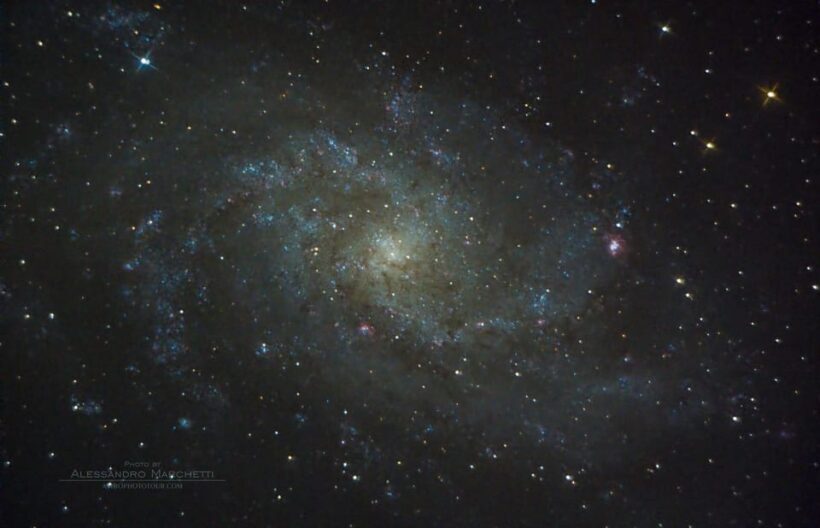 Teide National Park: Guided Large Telescope Stargazing Tour - Authentic Feedback from Past Participants