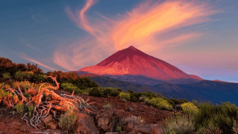 Teide National Park: Landscapes and Viewpoints Private Tour - Who Should Consider This Tour?