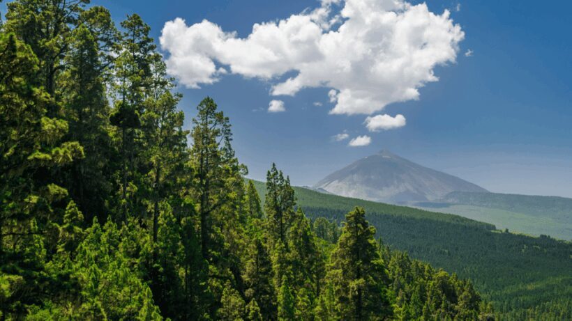 Teide National Park: Landscapes and Viewpoints Private Tour - The Sum Up