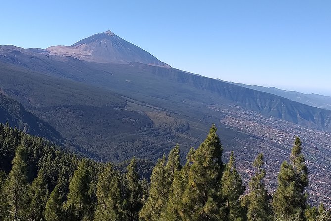 Teide Tenerife´s jewel - Why this Tour Stands Out