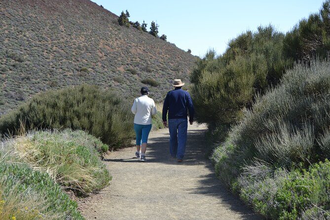 TEIDE: VIP tour - Final Thoughts