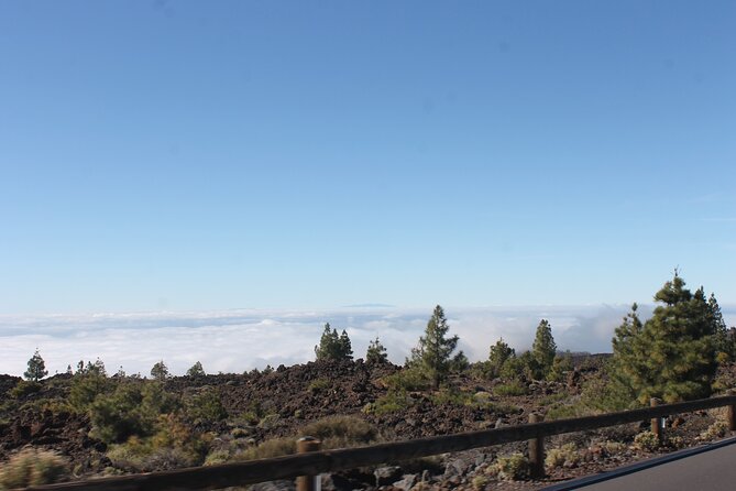 Teide Volcano National Park Quad Biking Tour - Frequently Asked Questions