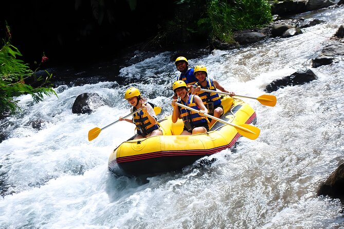 Telaga Waja White Water Rafting - With No Step or Stair : Bali Best Adventures - Who Should Consider This Tour?