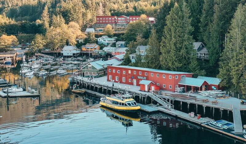 Telegraph Cove: 3-Hour Whale Watching Tour in a Zodiac Boat - A Closer Look at the Whale Watching Adventure