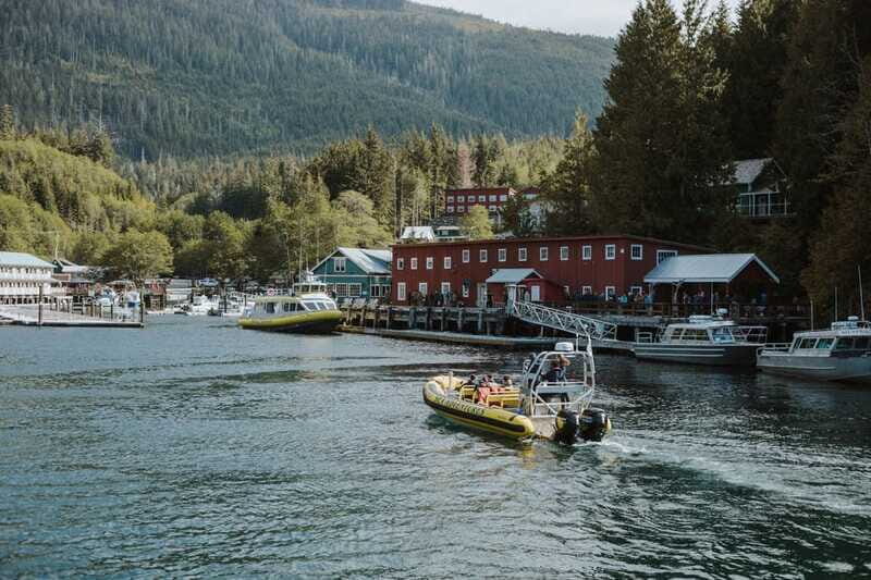 Telegraph Cove: 3-Hour Whale Watching Tour in a Zodiac Boat - FAQ