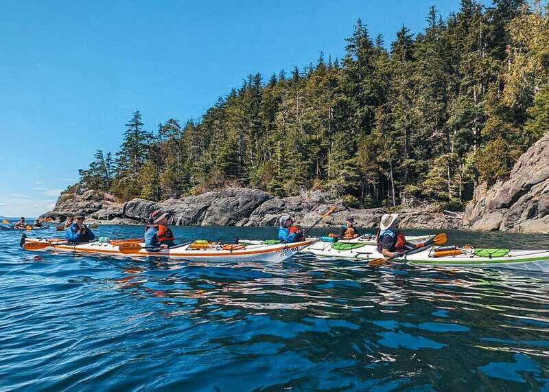 Telegraph Cove: Day Trip Kayaking Tour - Key Points