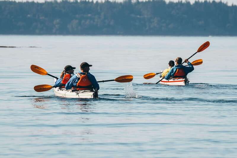 Telegraph Cove: Day Trip Kayaking Tour - The Details: Pricing, Equipment, and Practicalities