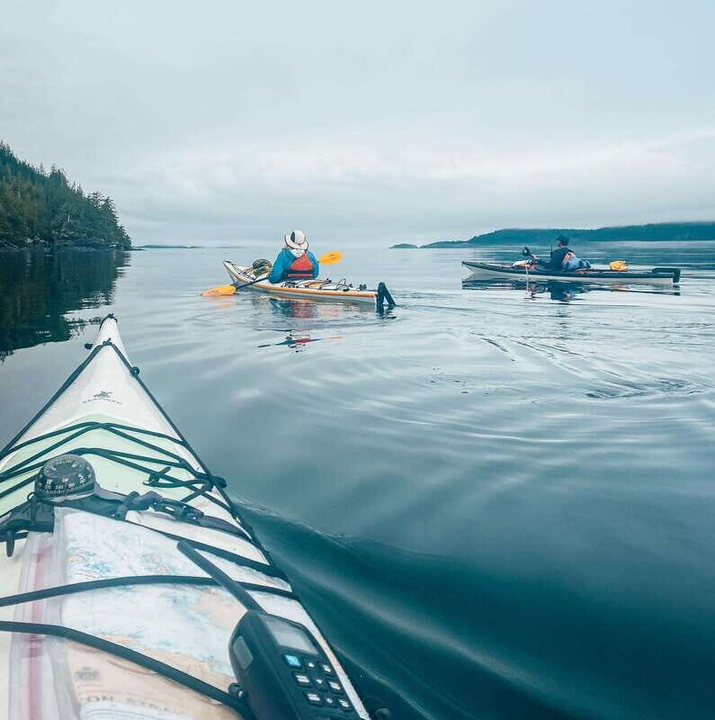 Telegraph Cove: Day Trip Kayaking Tour - Why This Tour Is Worth Considering
