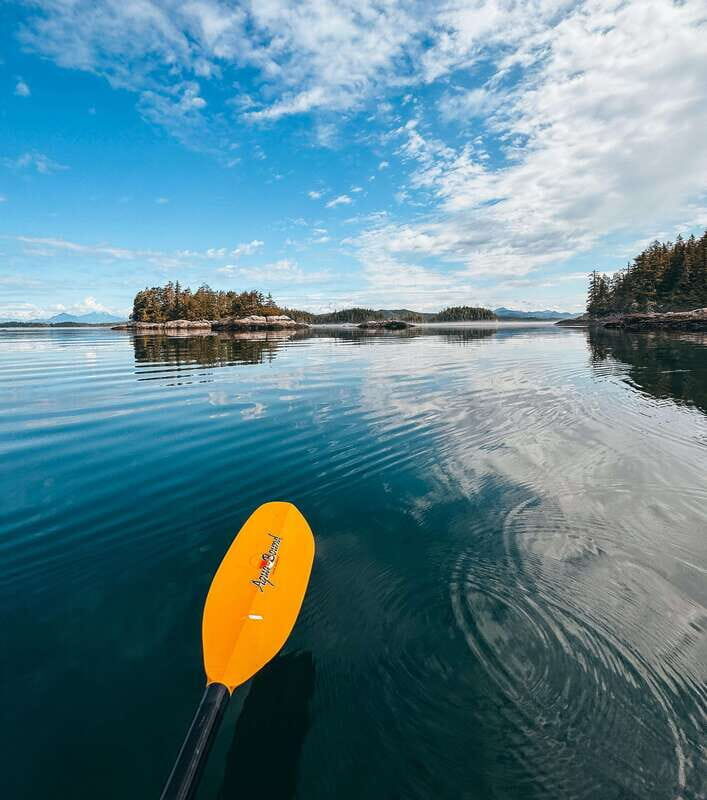 Telegraph Cove: Day Trip Kayaking Tour - The Sum Up