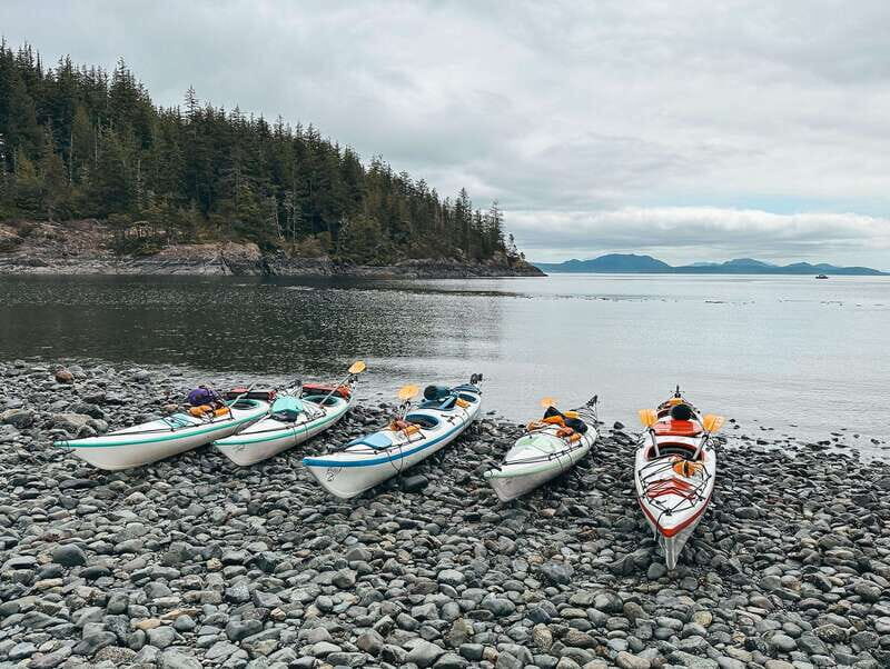 Telegraph Cove: Day Trip Kayaking Tour - FAQ