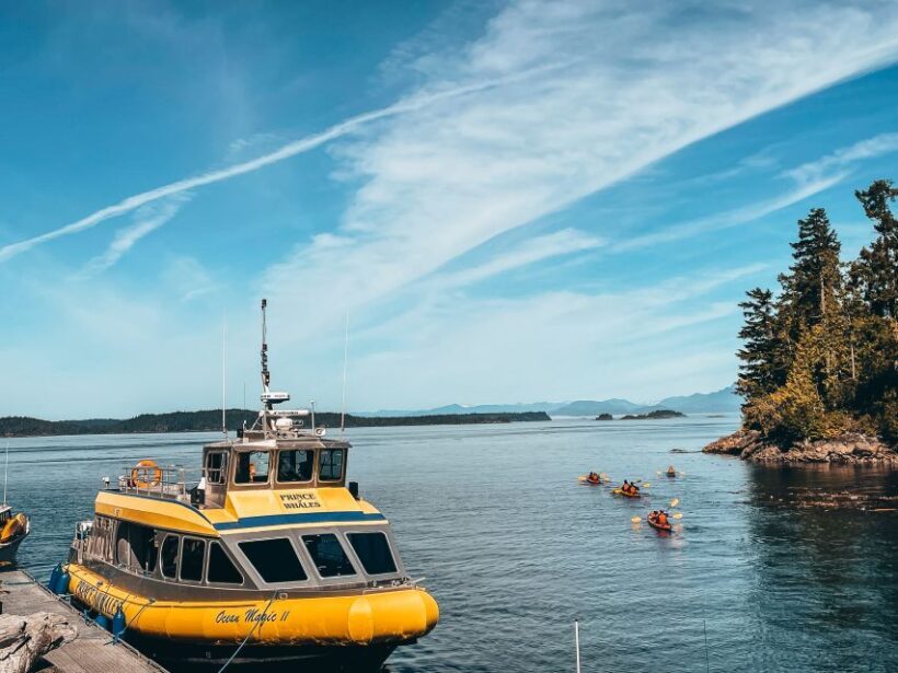 Telegraph Cove: Whale Watching Adventure with Free Photos - Why This Tour Excels According to Travelers